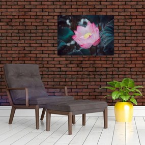 Skleněný obraz růžové květiny (70x50 cm)