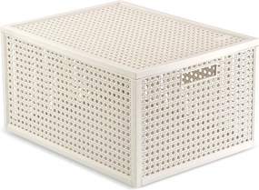 Krémový úložný box s víkem z recyklovaného plastu 30x38x21 cm Kaya – Curver