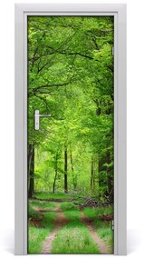 Fototapeta na dveře samolepící zelený les 85x205 cm