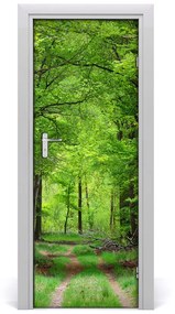 Fototapeta na dveře samolepící zelený les 75x205 cm