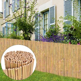Bambusový plot 300 x 100 cm 142683