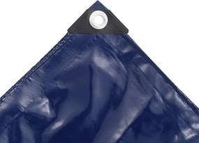 Plachta 650 g/m² 5 x 6 m modrá 144906