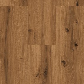 Vinylová plovoucí podlaha BRASED Ecoplus Click 9593 Dub královský tmavý