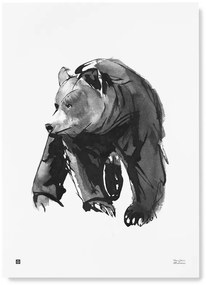 Plakát Gentle Bear 50x70