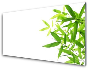 akrylový obraz Listy Příroda Rostlina 120x60 cm