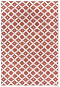 NORTHRUGS - Hanse Home koberce Kusový koberec Twin-Wendeteppiche 105464 Cayenne – na ven i na doma - 120x170 cm