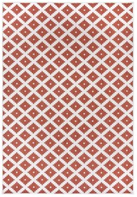 NORTHRUGS - Hanse Home koberce Kusový koberec Twin-Wendeteppiche 105464 Cayenne – na ven i na doma - 80x350 cm