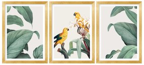Gario Sada plakátů Papoušci a listy - 3 dílná Barva rámu: Bez rámu, Rozměry: 99 x 45 cm