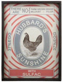 Obraz Hubbards Sunshine - 42*3*58 cm