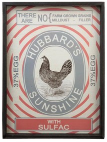 Obraz Hubbards Sunshine - 42*3*58 cm