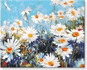 NORIMPEX Malování podle čísel Sedmikrásky / 40x50 cm