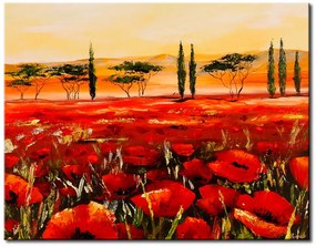 Obraz Květinové pole v Toskánsku (1 díl) - červené květy maků stromy