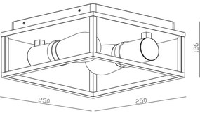 Lucide 27100/02/30 - Koupelnové stropní svítidlo CARLYN 2xE14/6W/230V IP54
