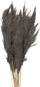 Šedá kytice sušené květy bambusu Bamboo - 100 cm (10ks)