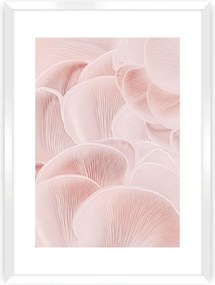 Plakát Pastel Pink I