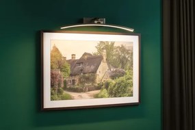 Paulmann 95561 - LED/10W Obrazové svítidlo BENTO 230V 50 cm mosaz