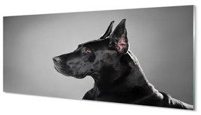 akrylový obraz Černý pes 120x60 cm