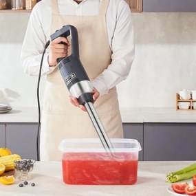 Komerční ponorný mixér 500 W Výkonný ruční mixér na polévkové omáčky