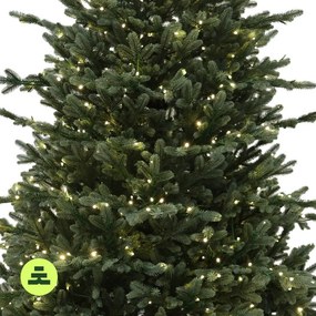 Umělý vánoční stromeček výška 180 cm Spruce Exclusive LED – Můj Stromeček