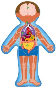 Woody Puzzle Lidské tělo - Kluk CZ