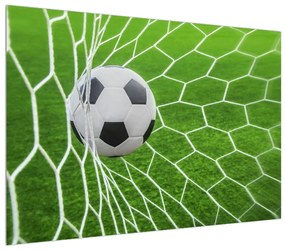 Obraz fotbalového míče v síti (100x70 cm)