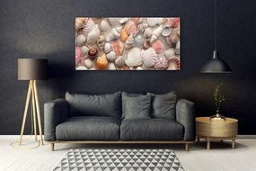 akrylový obraz Korýš Písek Umění 120x60 cm