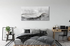 akrylový obraz Kapky peří makro 140x70 cm