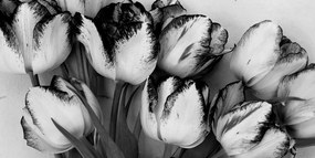 Obraz tulipány v jarním nádechu v černobílém provedení - 120x60 cm