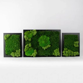 Mechové obrazy - set | 30x21 cm a 18x13 cm | Ztracené údolí - černý rám