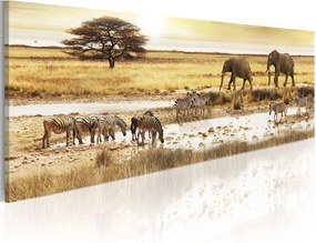 Obraz - Afrika: u napajedla 120x40