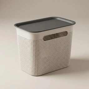 Rotho Úložný box s víkem a s madly BRISEN 7l, 26x18x21cm, bílý