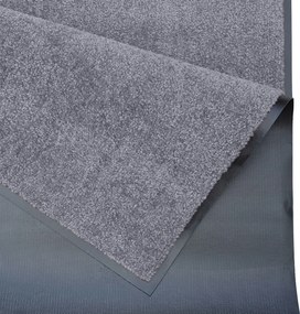 Hanse Home, Rohožka Wash & Clean 101464 Grey, 40x60, šedá, chodba / předsíň