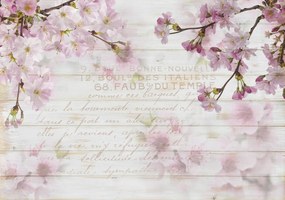 Postershop Fototapeta vliesová: Třešňové květy (1) - 254x368 cm