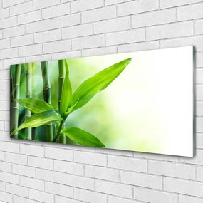 akrylový obraz Bambus List Rostlina Příroda 125x50 cm