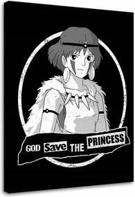 Obraz plátno God Save The Princess DDJVigo 40x60
