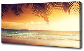 Wallmuralia Foto obraz na plátně Tropická pláž 100x50