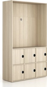 Kancelářská skříň FRAME, 6x dveře, prostor pro TV, 1299 x 450 x 2162 mm, kódový zámek, dub přírodní