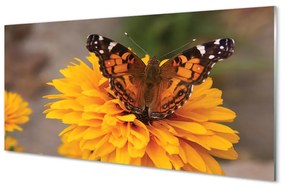 akrylový obraz Barevný motýl květina 100x50 cm