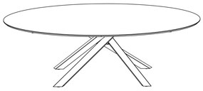 TENZO Oválný jídelní stůl COX 240x120cm 9003708916
