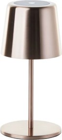 Brilliant G40939/29  Stolní AKU lampa XAANA světlá MĚĎ USB-C , CCT