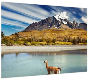 Obraz - Národní park Torres del Paine (70x50 cm)