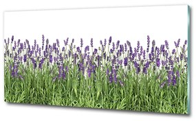 Wallmuralia Fotoobraz na skle Květiny levandule 100x50