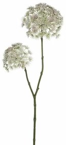 Edelman EGO DEKOR Květina Pastinák, růžová, 83 cm