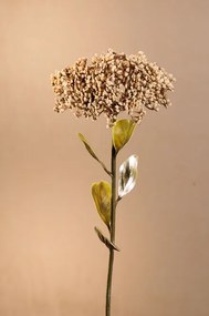 Paramit DRY FULL BLOOM SEDUM Aranžovací květina krémová 46 cm