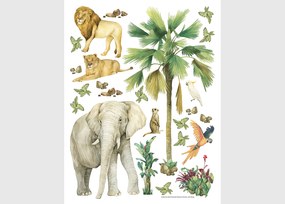 Dětská samolepka na zeď Jungle | 65 x 85 cm | DDK2337