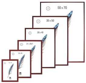 Rám na obraz Virius 2 13X18 cm červený
