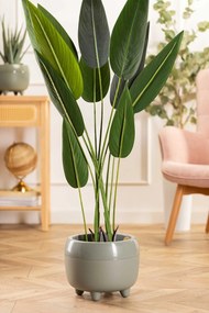 Květináč na nožičkách BOTANICA 30x23,8 cm šedozelený