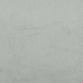 vidaXL Pohovka s polštáři 2místná samet [372632] Barva: světle šedá