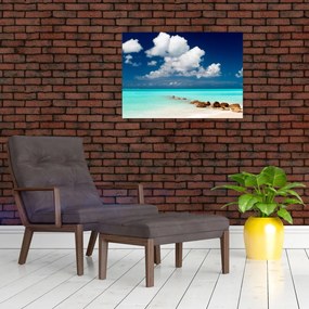 Skleněný obraz - Tropická pláž (70x50 cm)