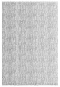 Vopi | Kusový koberec Style 8901 silver - 80 x 150 cm